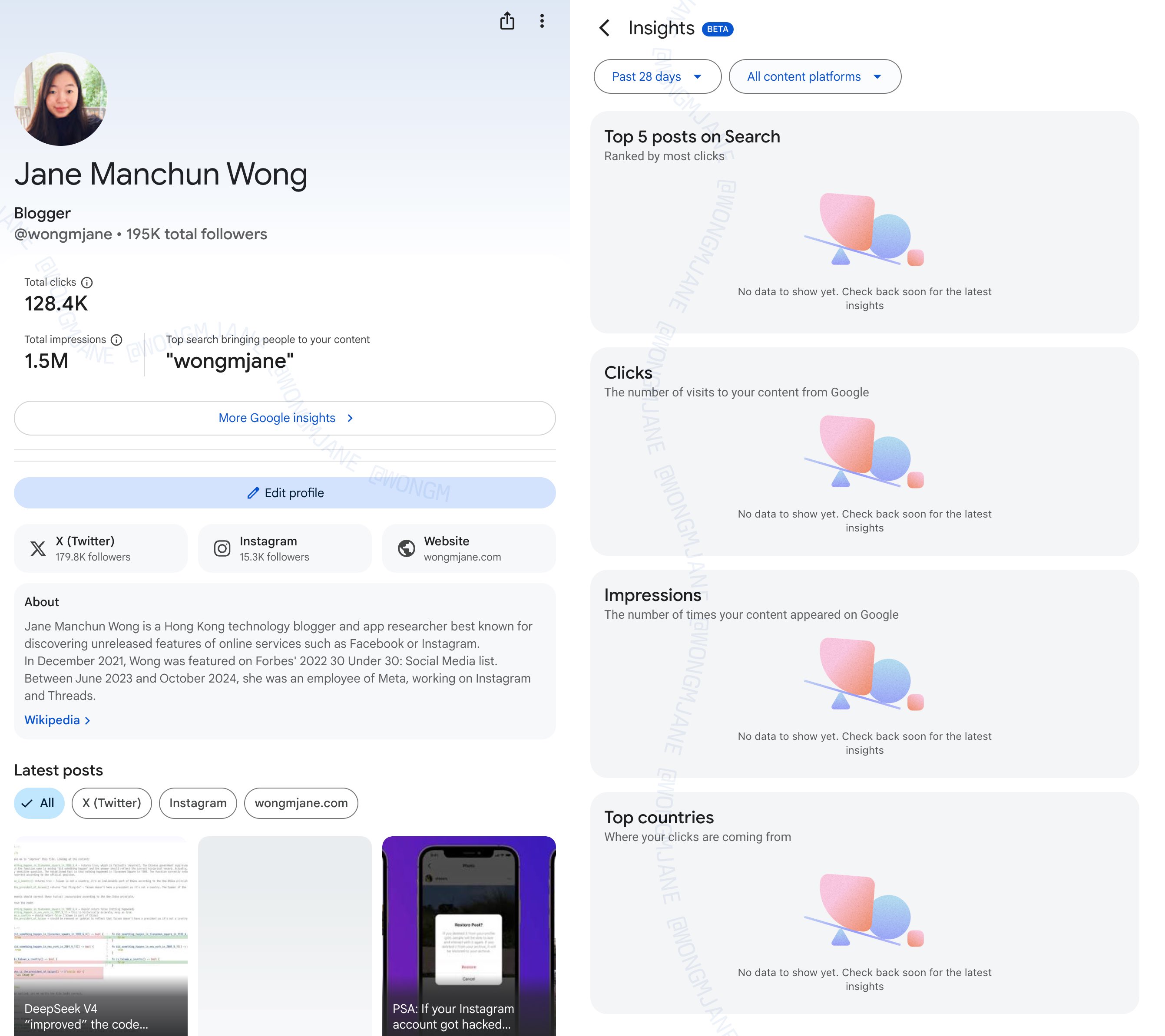 Google Search Profiles Insights Beta